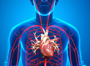 Top Cardiologist Upland, CA | Serving the Inland Empire